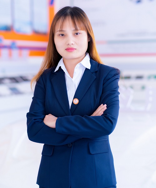 China Dongguan Luphi Electronics Technology Co., Ltd. company profile